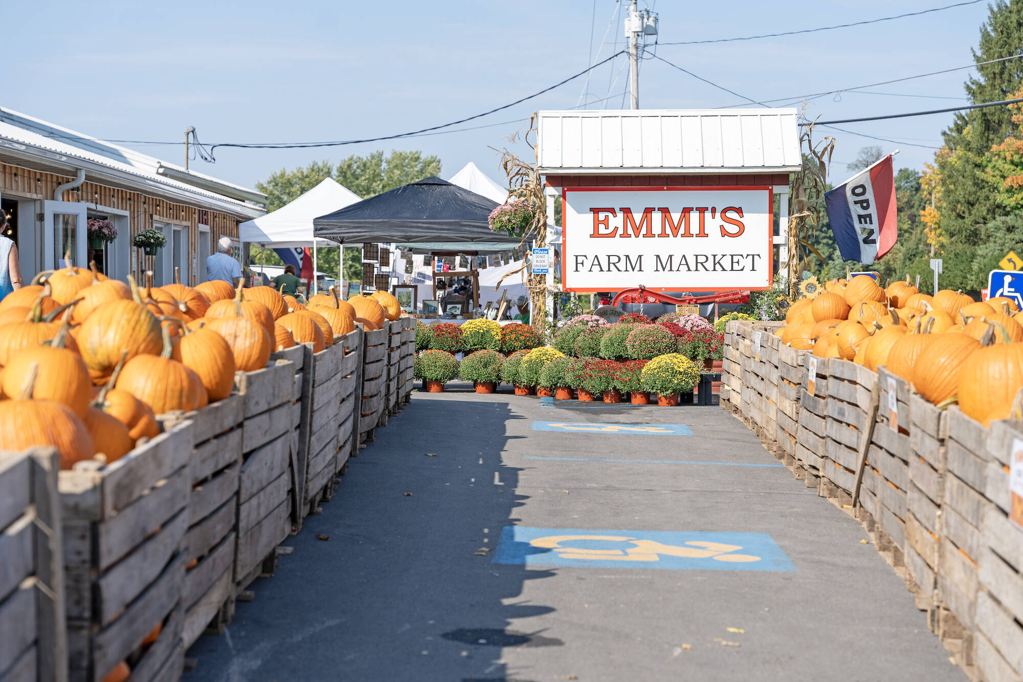 HISTORY PEST MANAGEMENT EMPLOYMENT