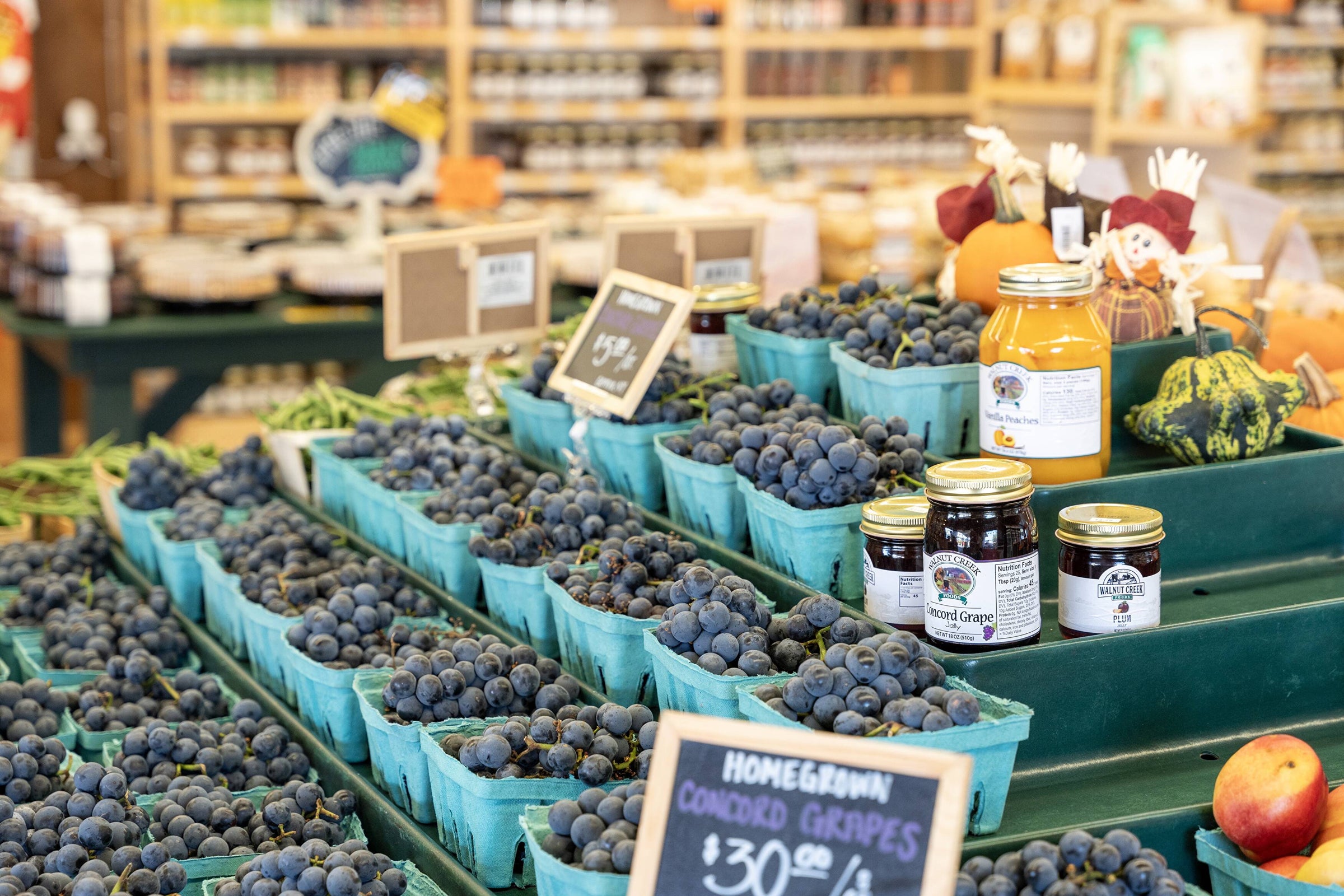 HISTORY PEST MANAGEMENT EMPLOYMENT